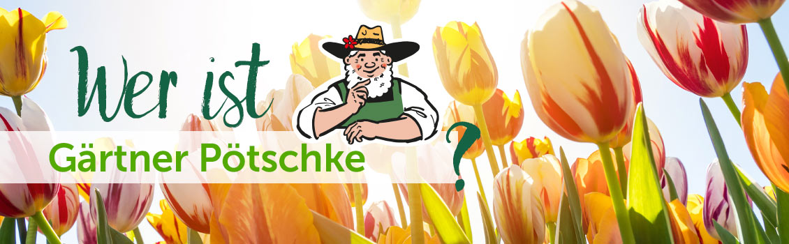 Über Gärtner Pötschke