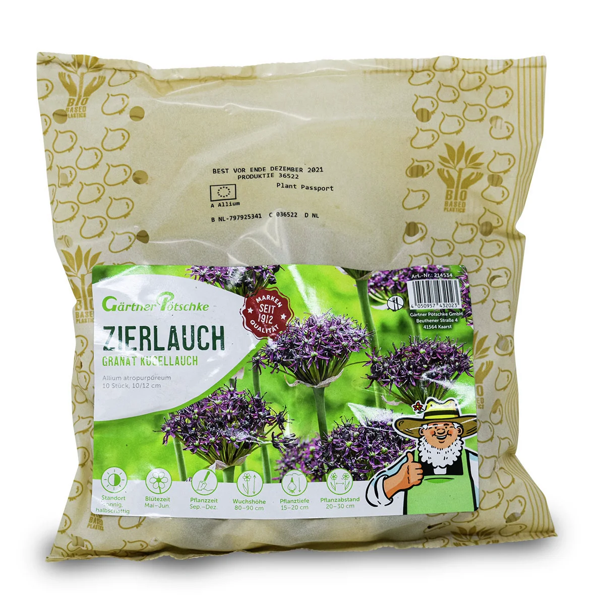 Zierlauch Granat Kugellauch günstig kaufen bei Gärtner Harry